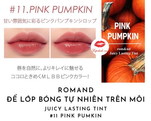 Review Son Romand Bóng Màu 11 Pink Pumpkin Màu Hồng Đất Đẹp Nhất