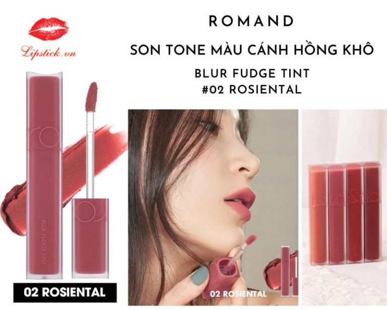 Son Romand Blur Fudge Tint 02 Rosiental Màu Cánh Hồng Khô Đẹp Nhất