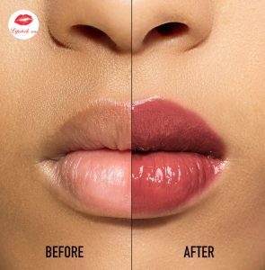 Son Dưỡng Dior Maximizer 024 Intense Brick Đỏ Gạch Đẹp, Mới Nhất